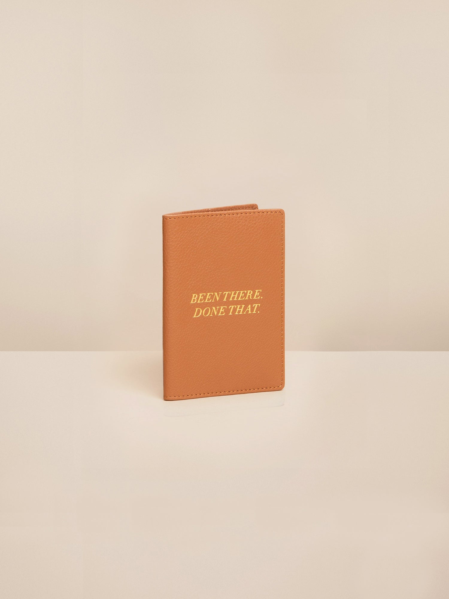 The Pilot Passport Holder | Brown Passport Holder – BEE AND KIN